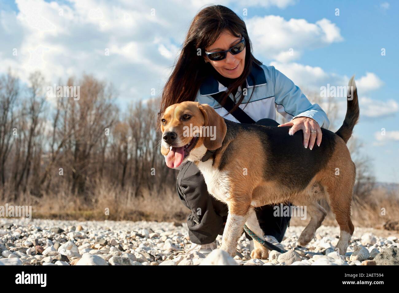 Lady playing beagle dog hi-res stock photography and images - Alamy