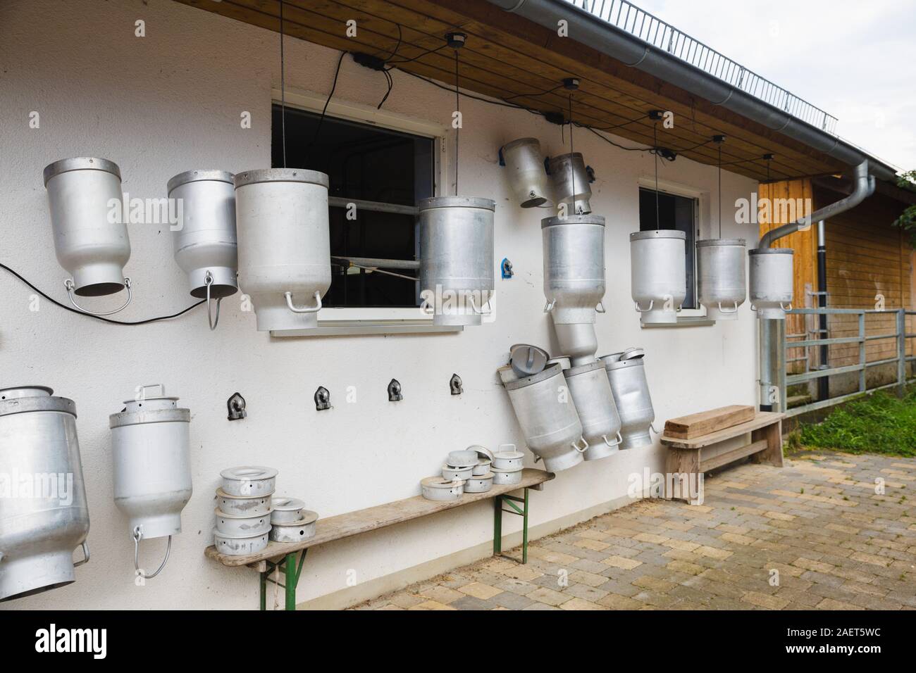 Milk cow bucket hi-res stock photography and images - Alamy