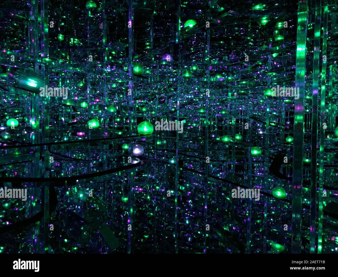 View of the 3D digital art in the teamlab Borderless Shanghai in ...