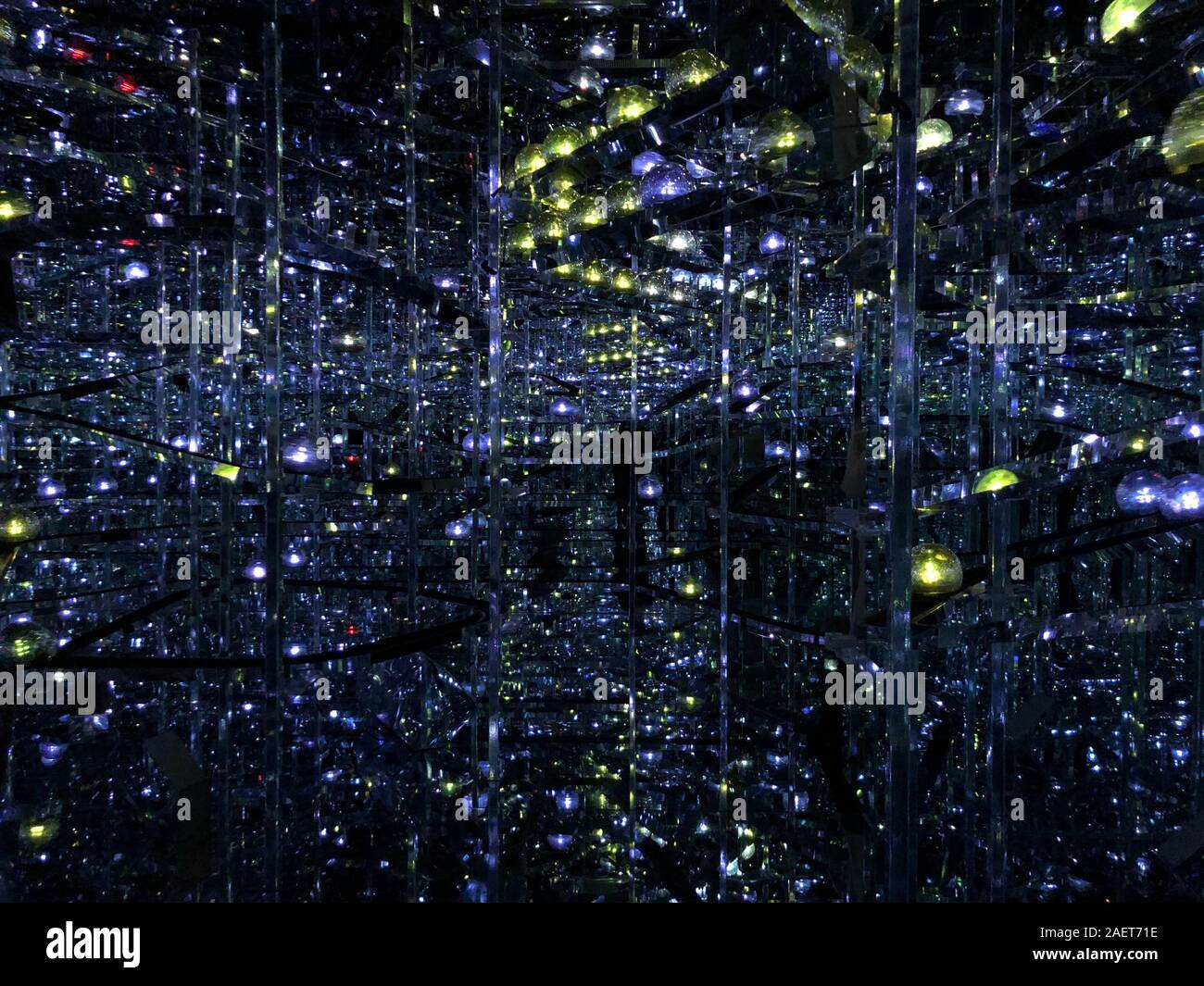 View of the 3D digital art in the teamlab Borderless Shanghai in ...