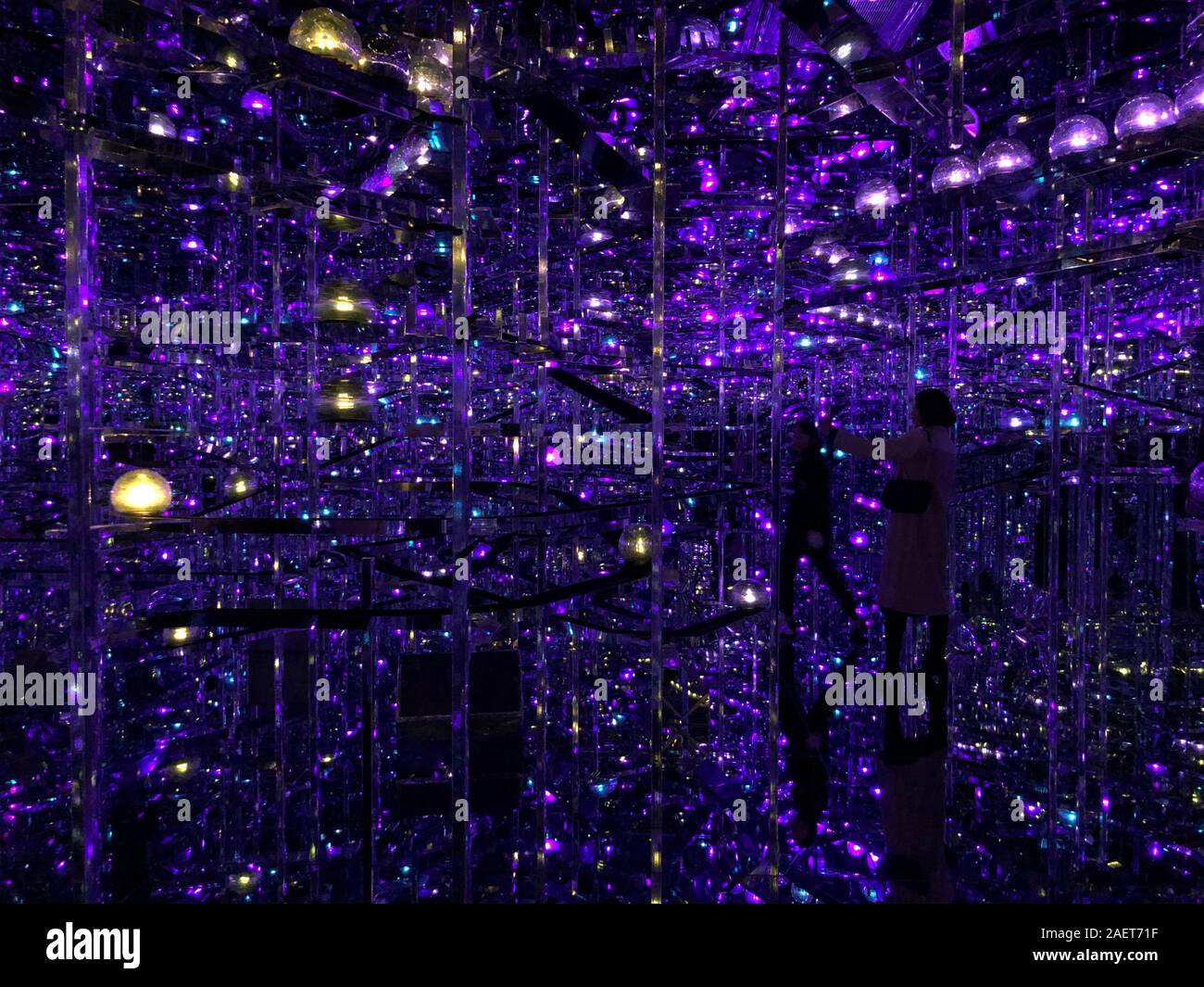 View of the 3D digital art in the teamlab Borderless Shanghai in ...