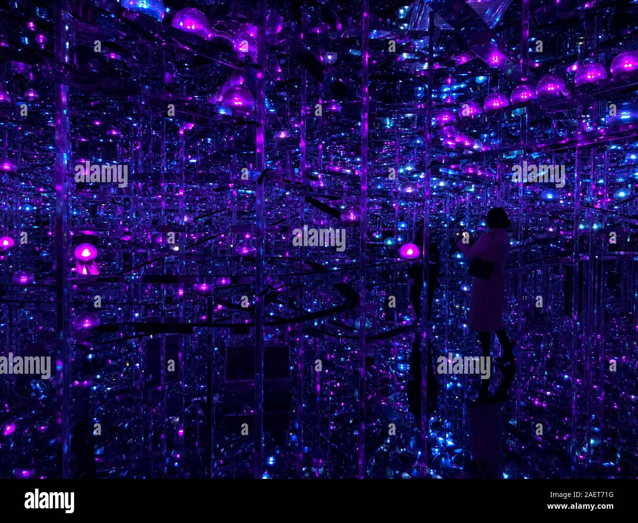 View of the 3D digital art in the teamlab Borderless Shanghai in ...