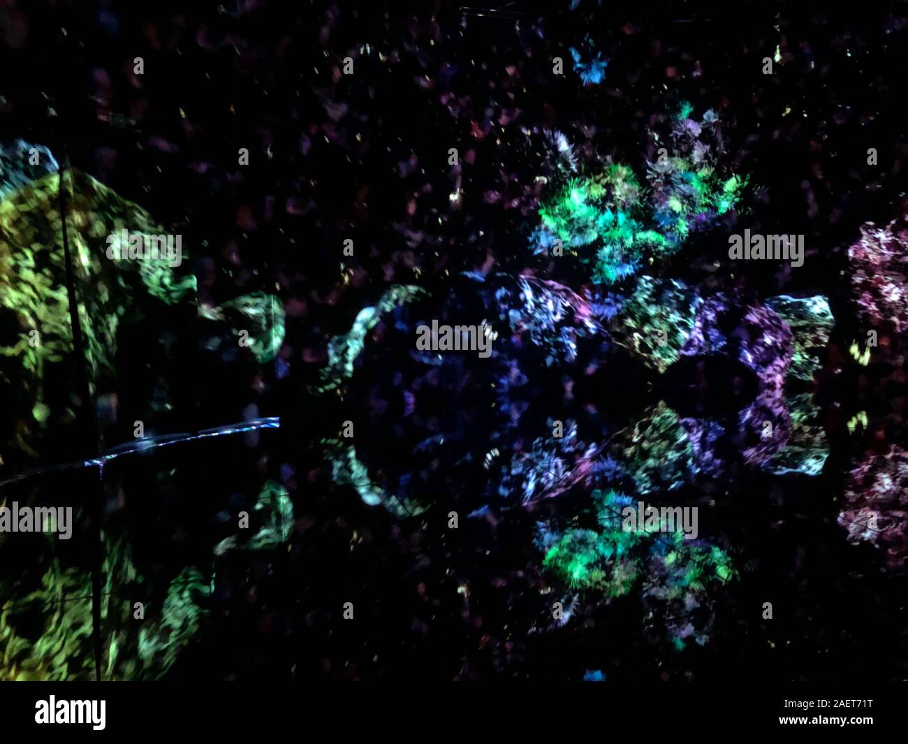 View of the 3D digital art in the teamlab Borderless Shanghai in ...