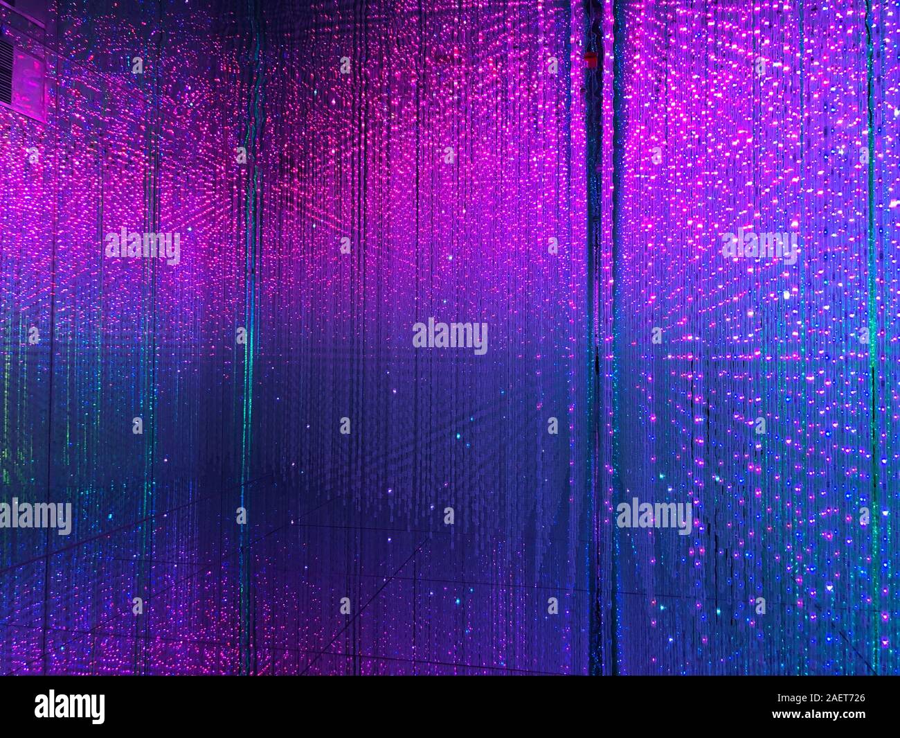 View of the 3D digital art in the teamlab Borderless Shanghai in ...