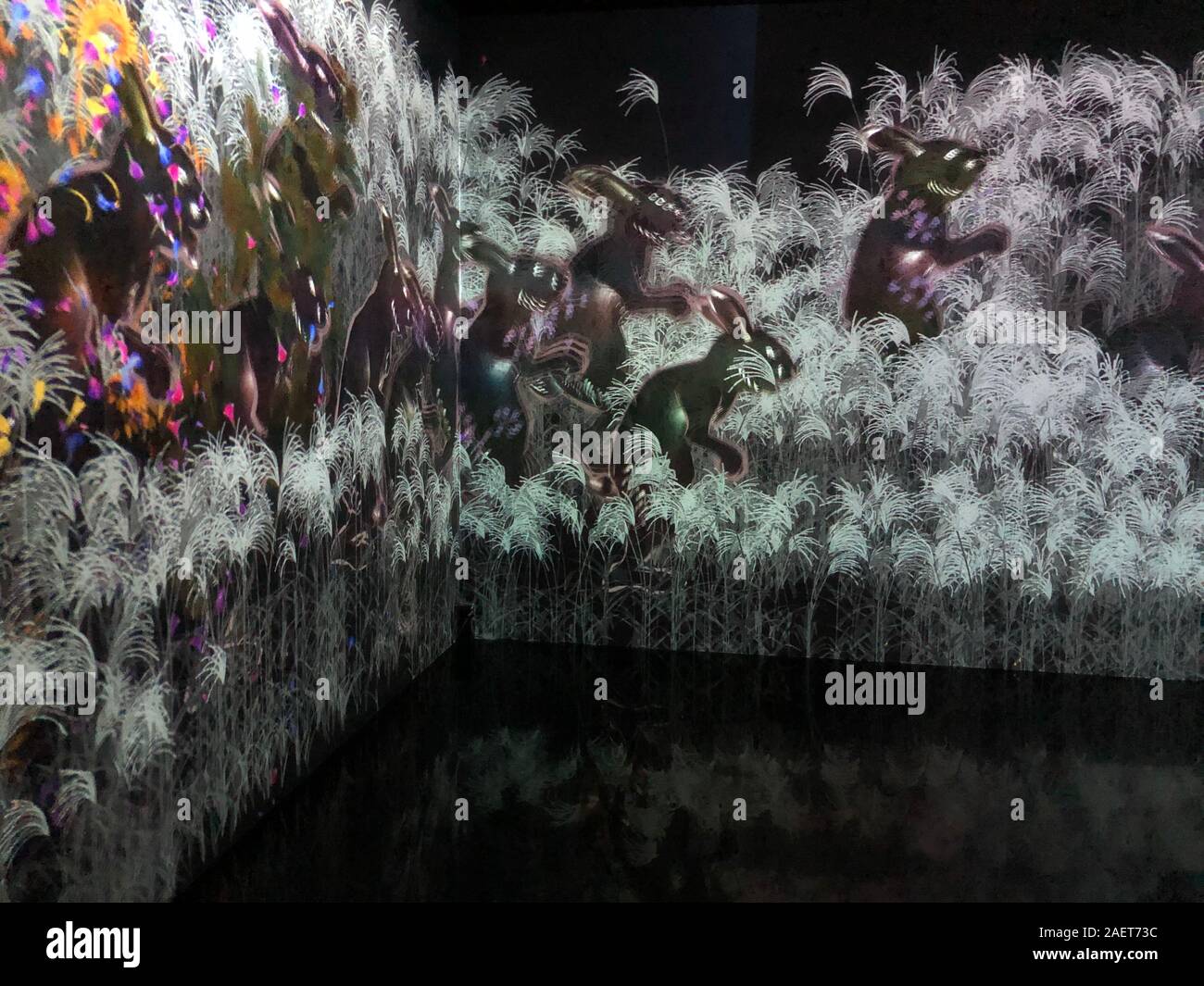 View of the 3D digital art in the teamlab Borderless Shanghai in ...