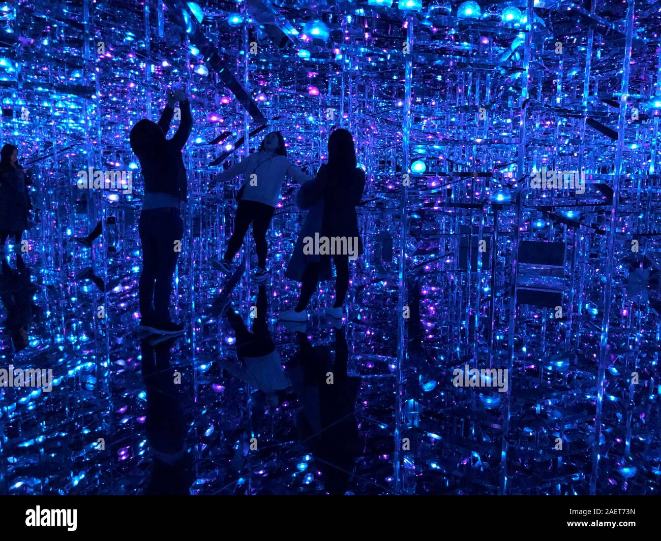 People experience 3D digital art in the teamlab Borderless Shanghai in ...
