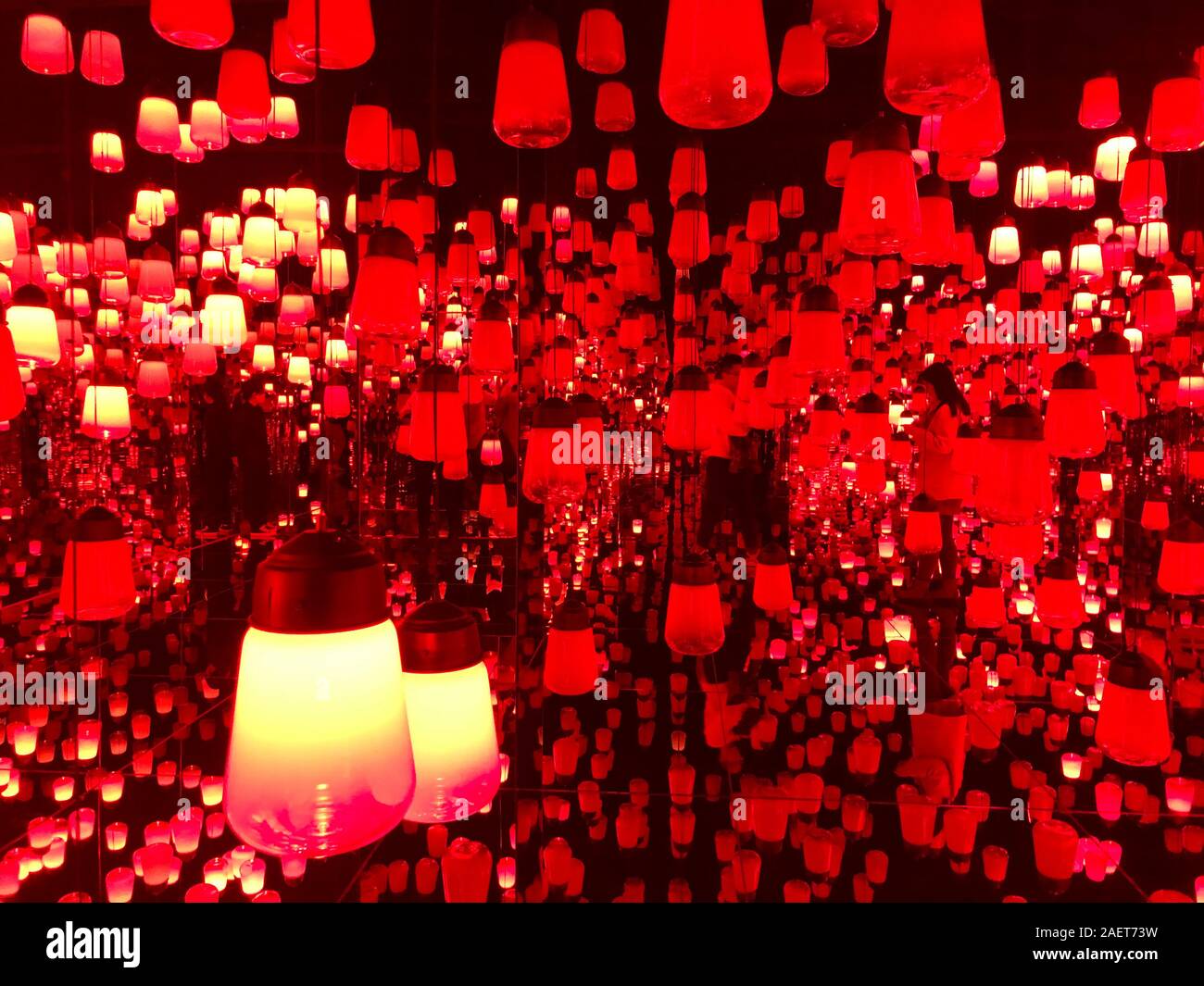 View of the 3D digital art in the teamlab Borderless Shanghai in ...