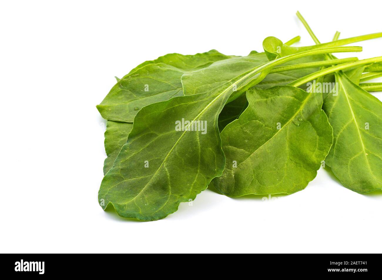 Close up of fresh green spinach isolated on white background Stock ...
