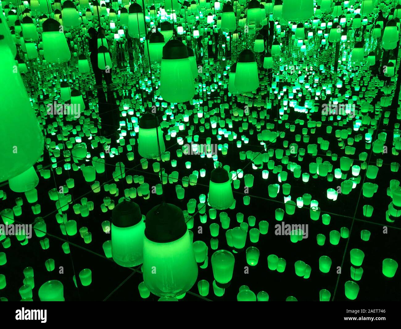 View of the 3D digital art in the teamlab Borderless Shanghai in Huangpu District, Shanghai ...