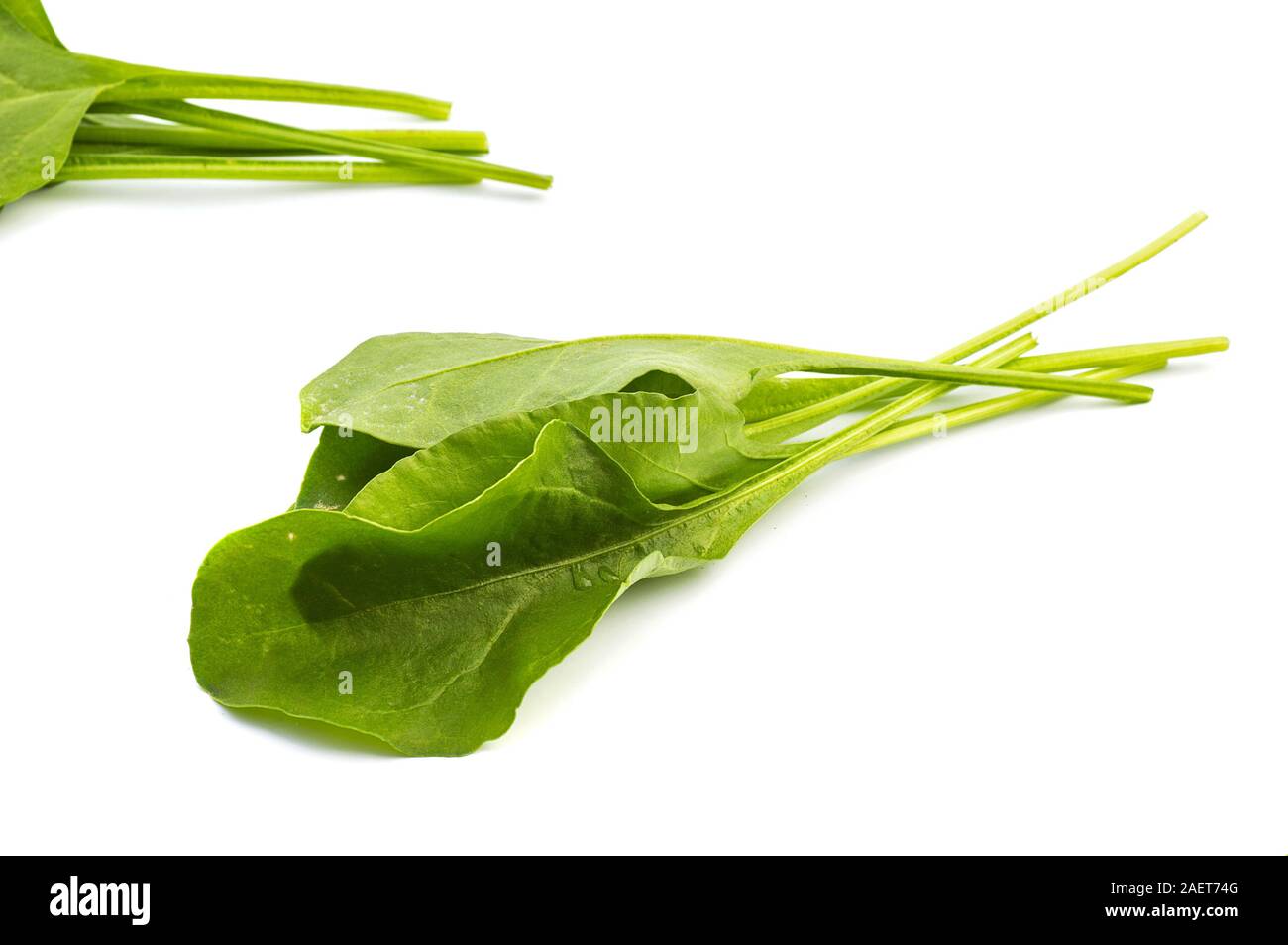 Close up of fresh green spinach isolated on white background Stock ...