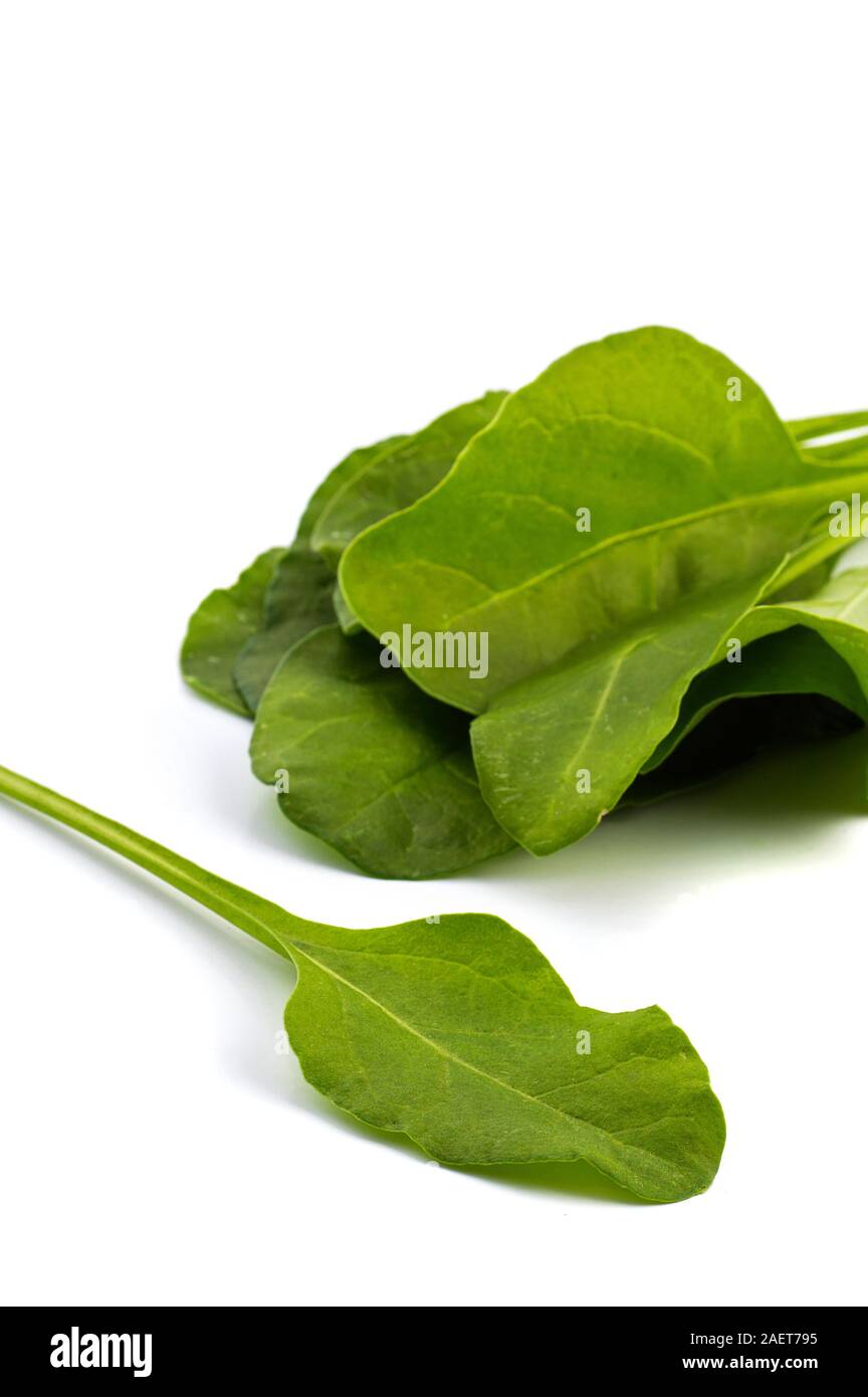 Close up of fresh green spinach isolated on white background Stock ...
