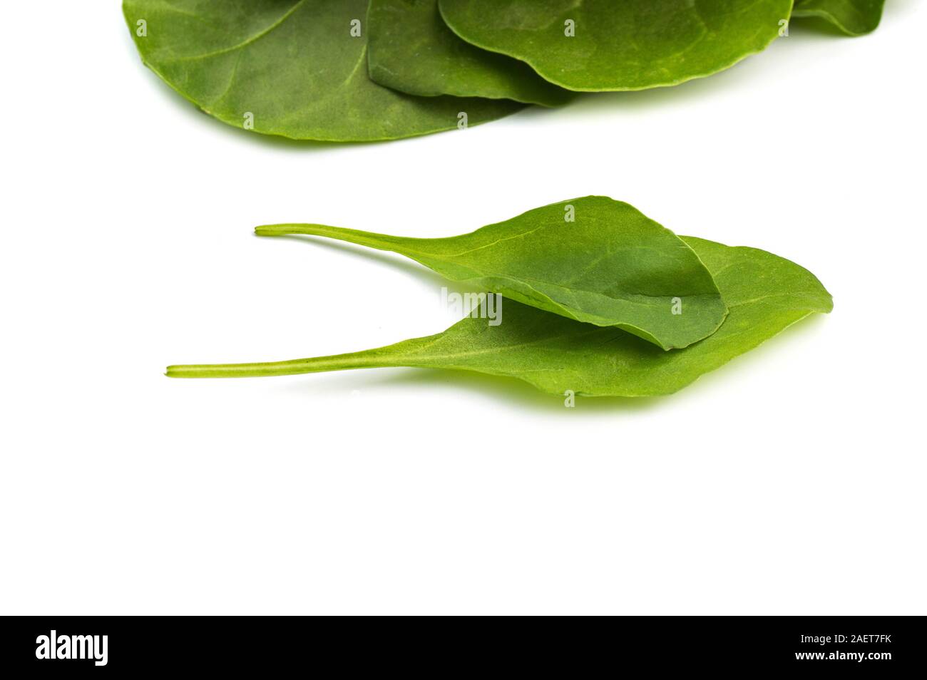 Close up of fresh green spinach isolated on white background Stock ...
