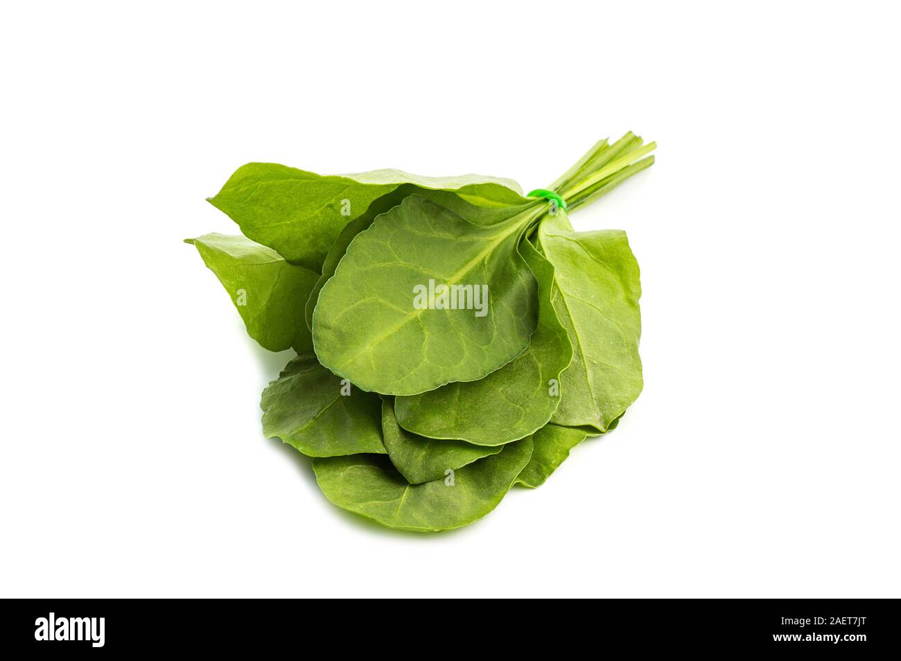 Close up of fresh green spinach isolated on white background Stock ...