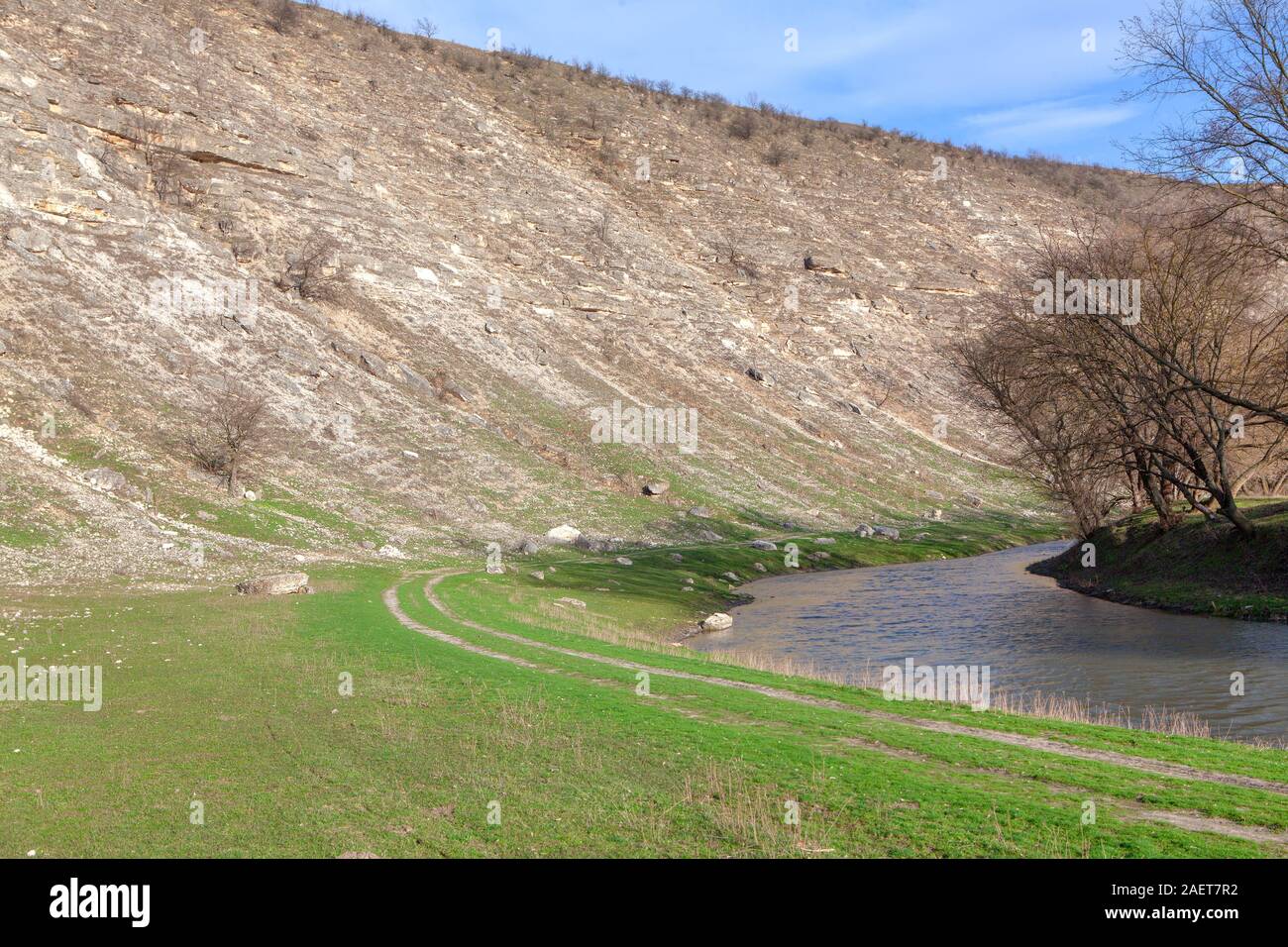 early spring scenery with flowing brook Stock Photo - Alamy