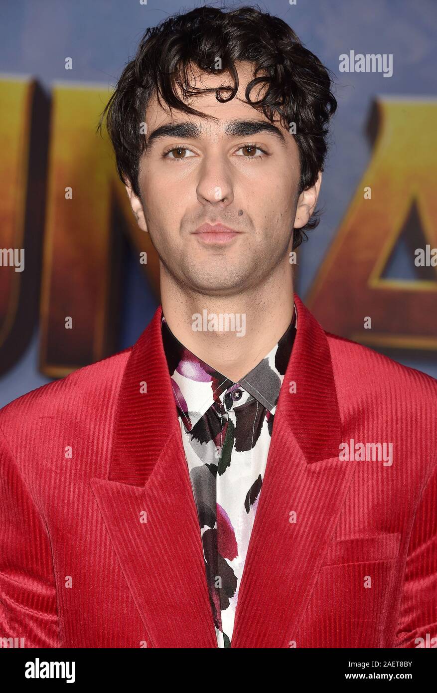 HOLLYWOOD, CA - DECEMBER 09: Alex Wolff attends the premiere of Sony ...