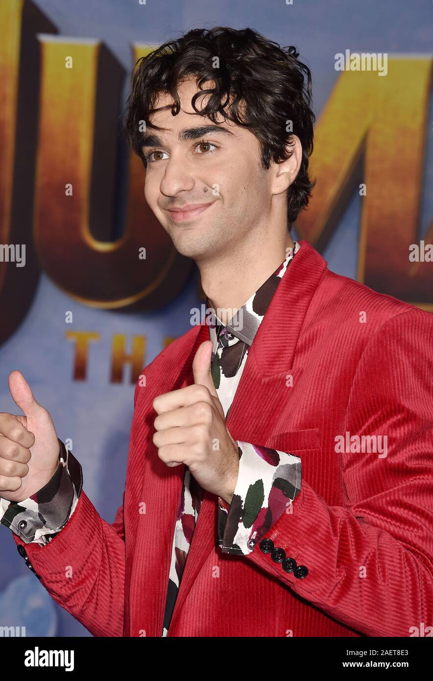 HOLLYWOOD, CA - DECEMBER 09: Alex Wolff attends the premiere of Sony ...