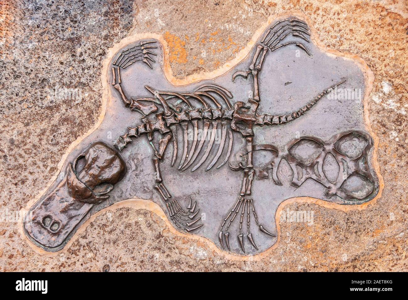 Platypus sculpture hi-res stock photography and images - Alamy