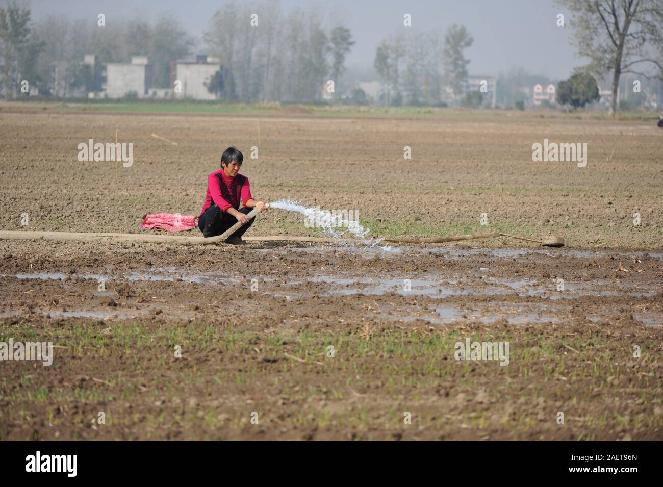 Drought stricken land hi-res stock photography and images - Alamy