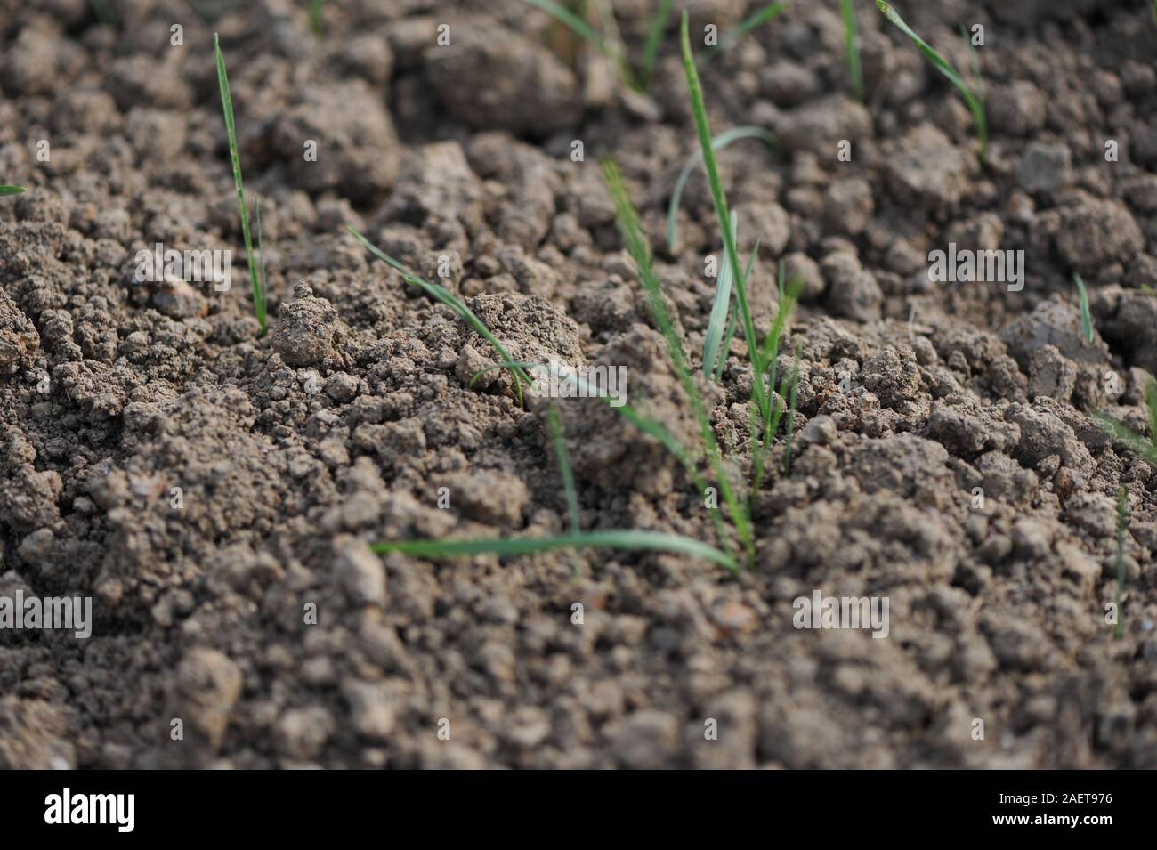 Drought stricken land hi-res stock photography and images - Alamy