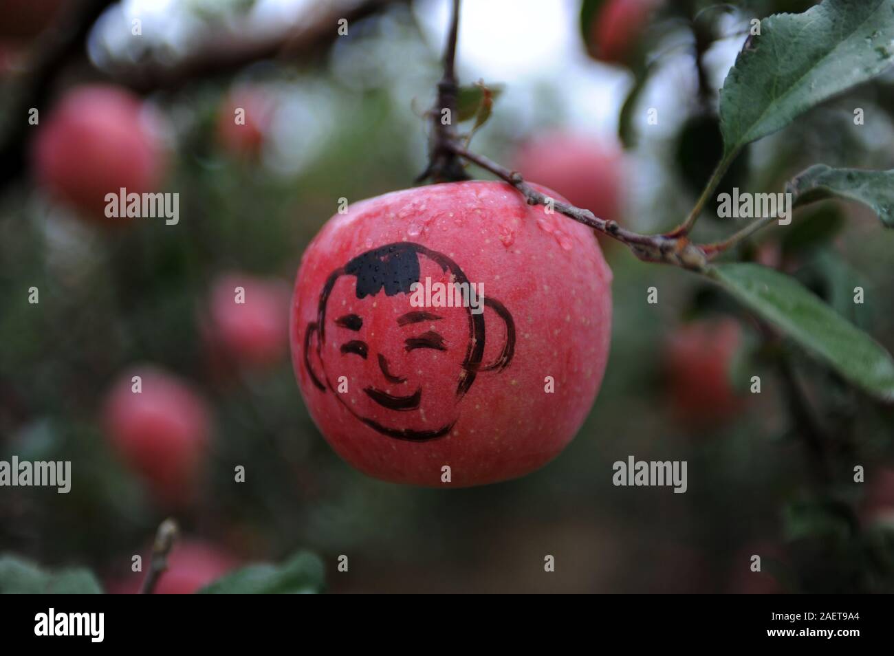 A kid's face is drawn on an apple in Beijing, China, 2 November 2019 ...