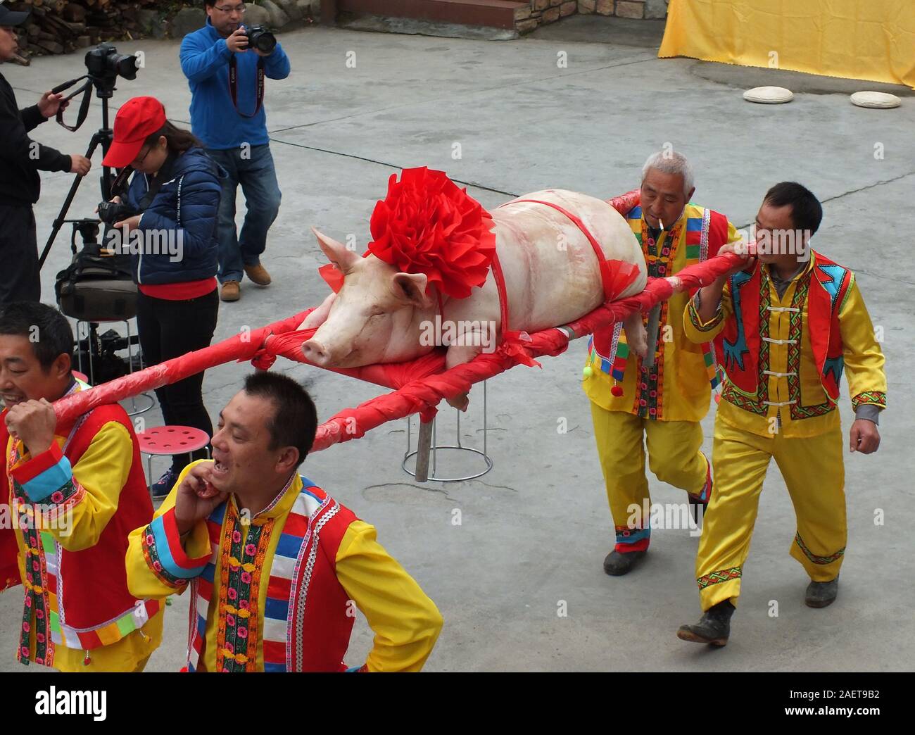 A pig is brought to the sacrifice altar before the Pig King Competition ...
