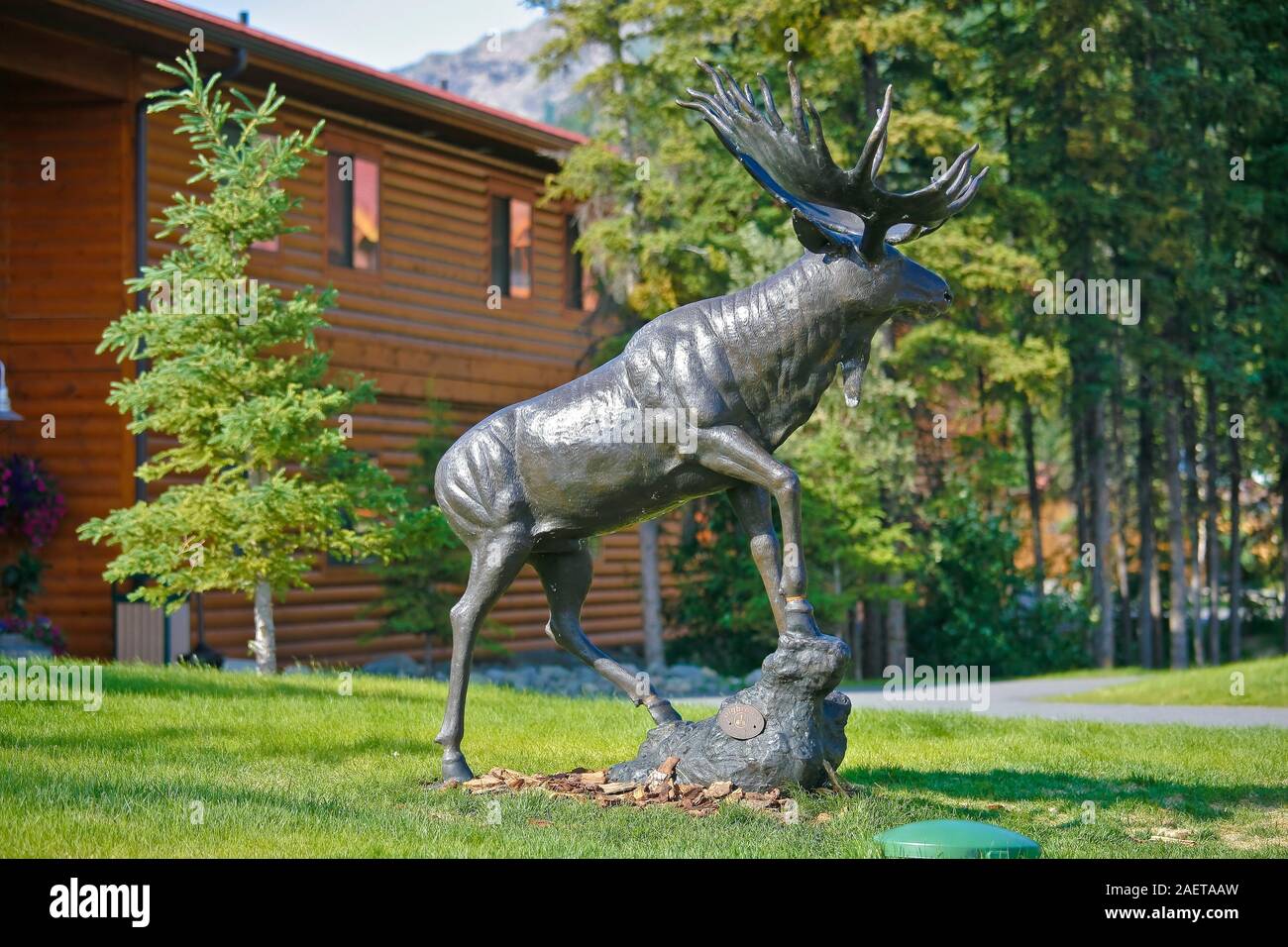 Moose statue hi-res stock photography and images - Alamy