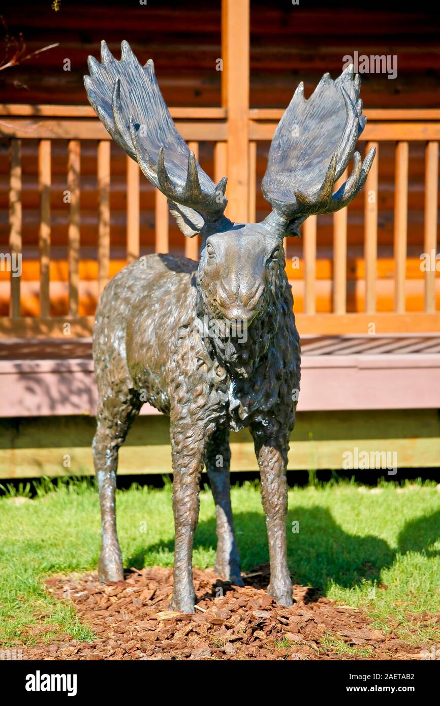 Moose Statue High Resolution Stock Photography and Images - Alamy