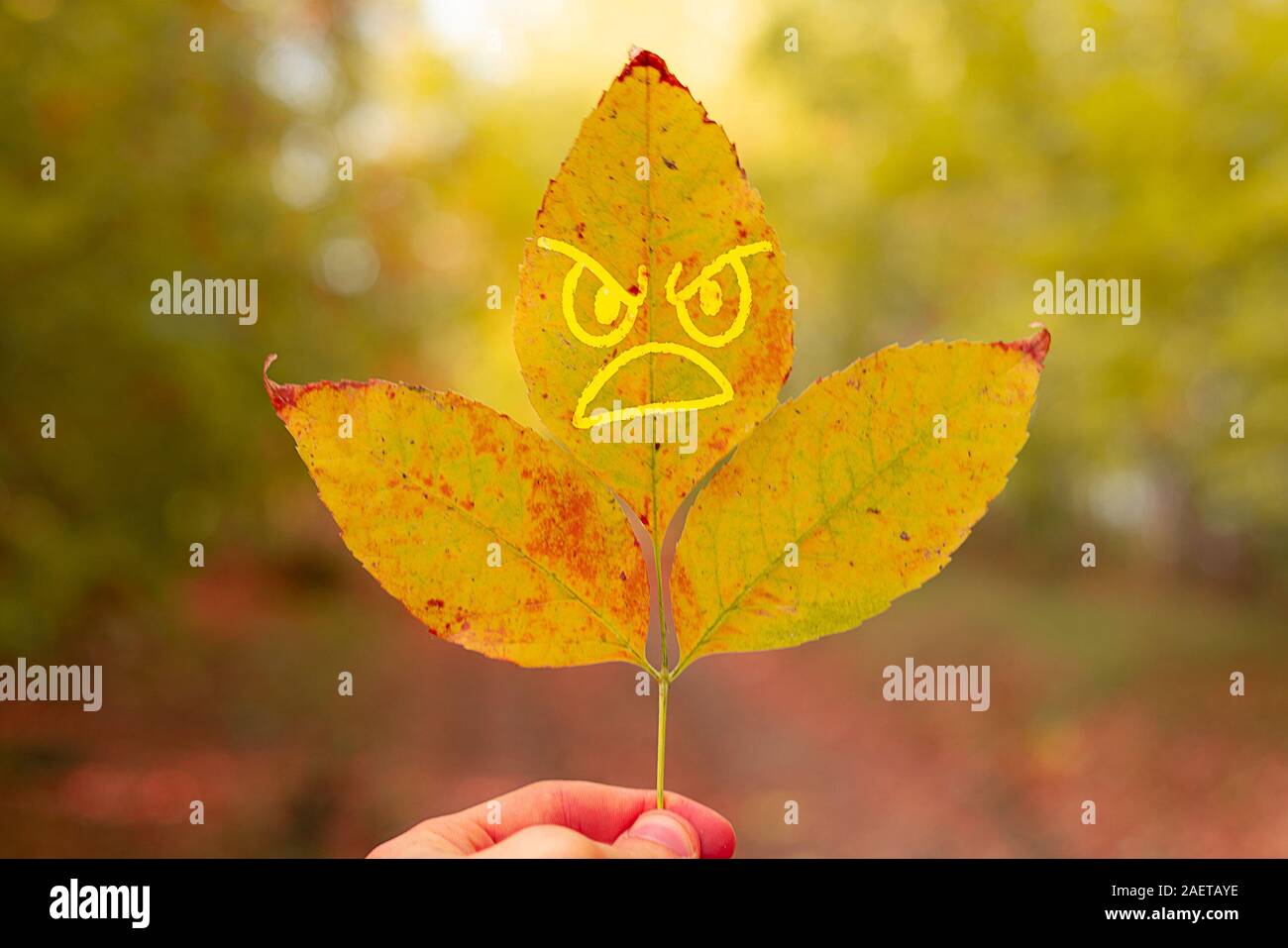 hand holding an autumn leaf with a scary face on it, angry smile ...