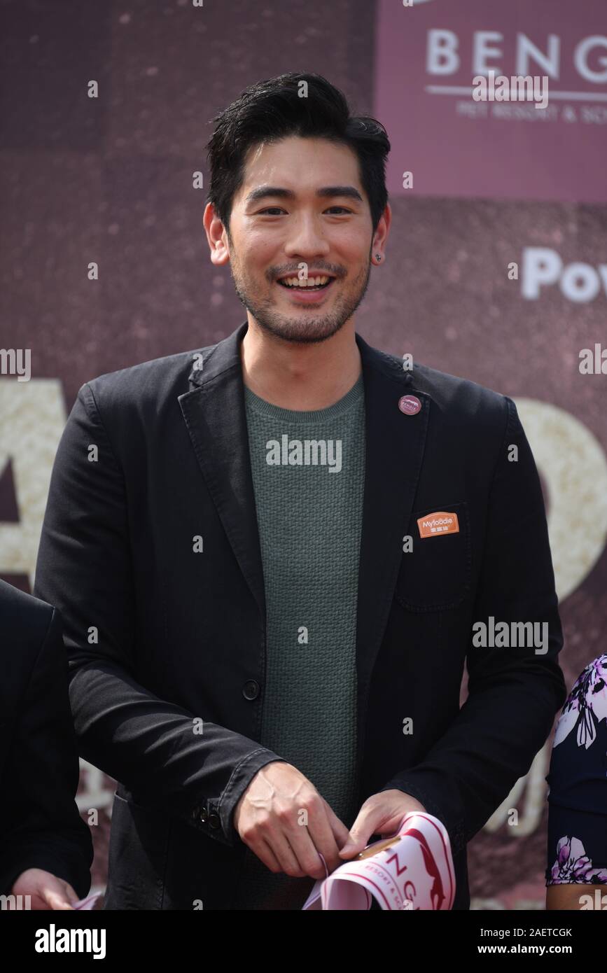 --File--Godfrey Gao attends Bangie pet store opening in Shanghai, China ...