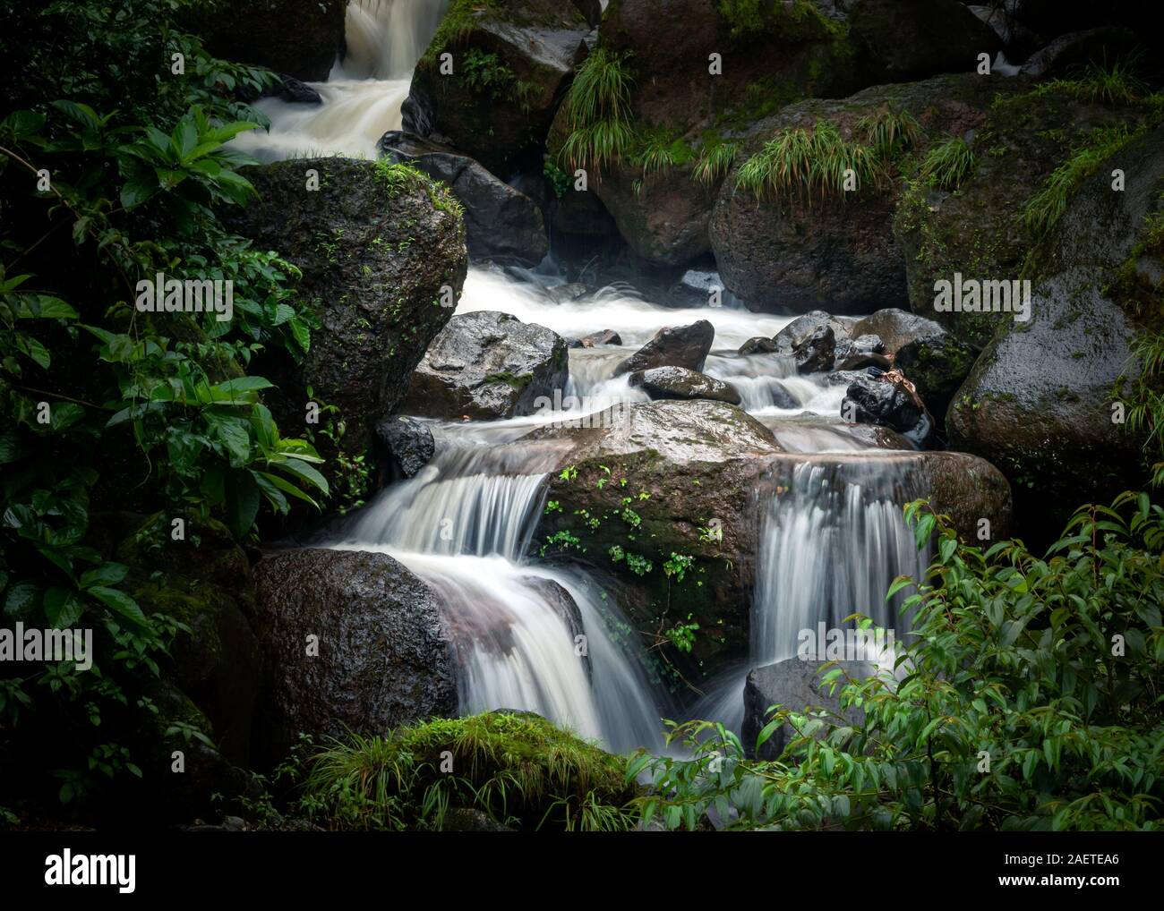 Landscape of a waterfall in an Indian forest during the peak monsoon ...