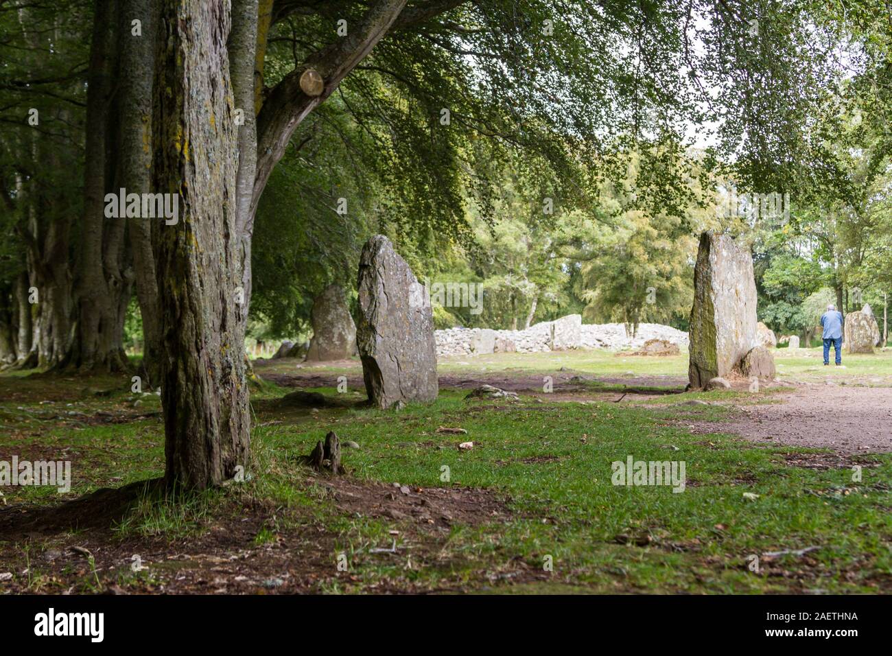 Large standing stones in a well preserved bronze age cemetery located ...