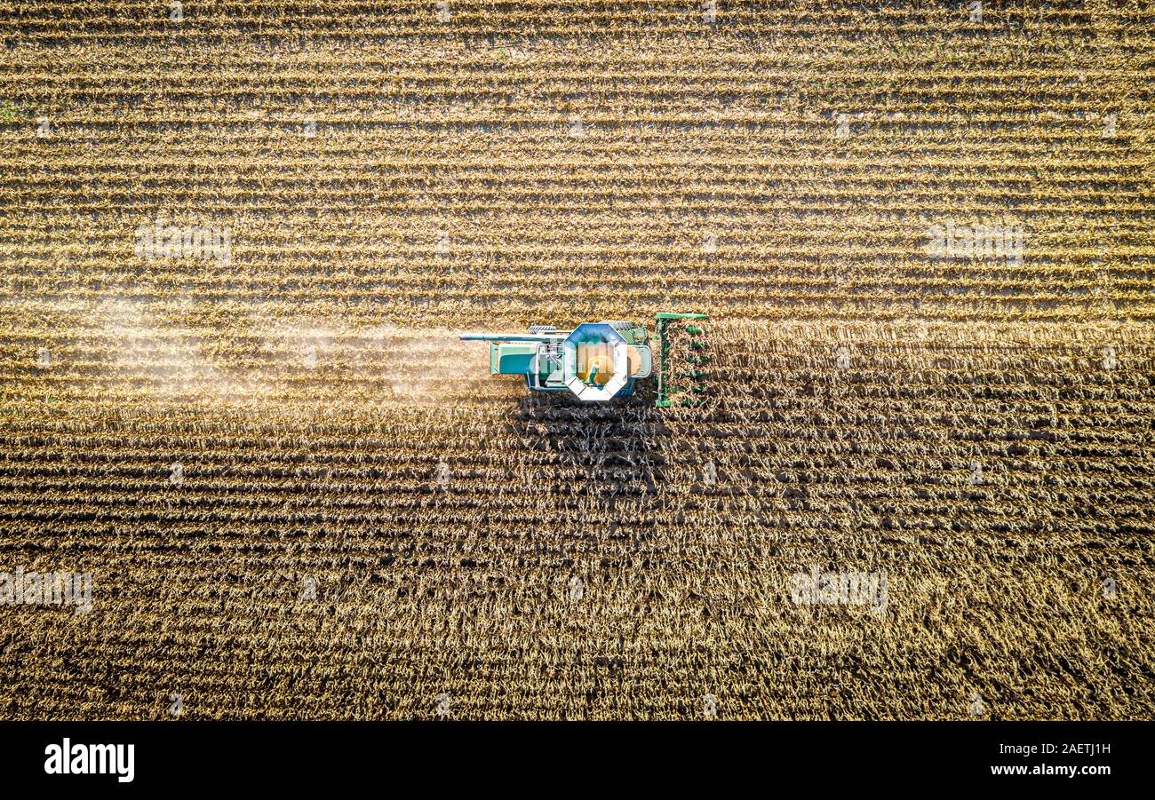 A farmer uses a combine to harvest corn , Centerville, Maryland Stock ...