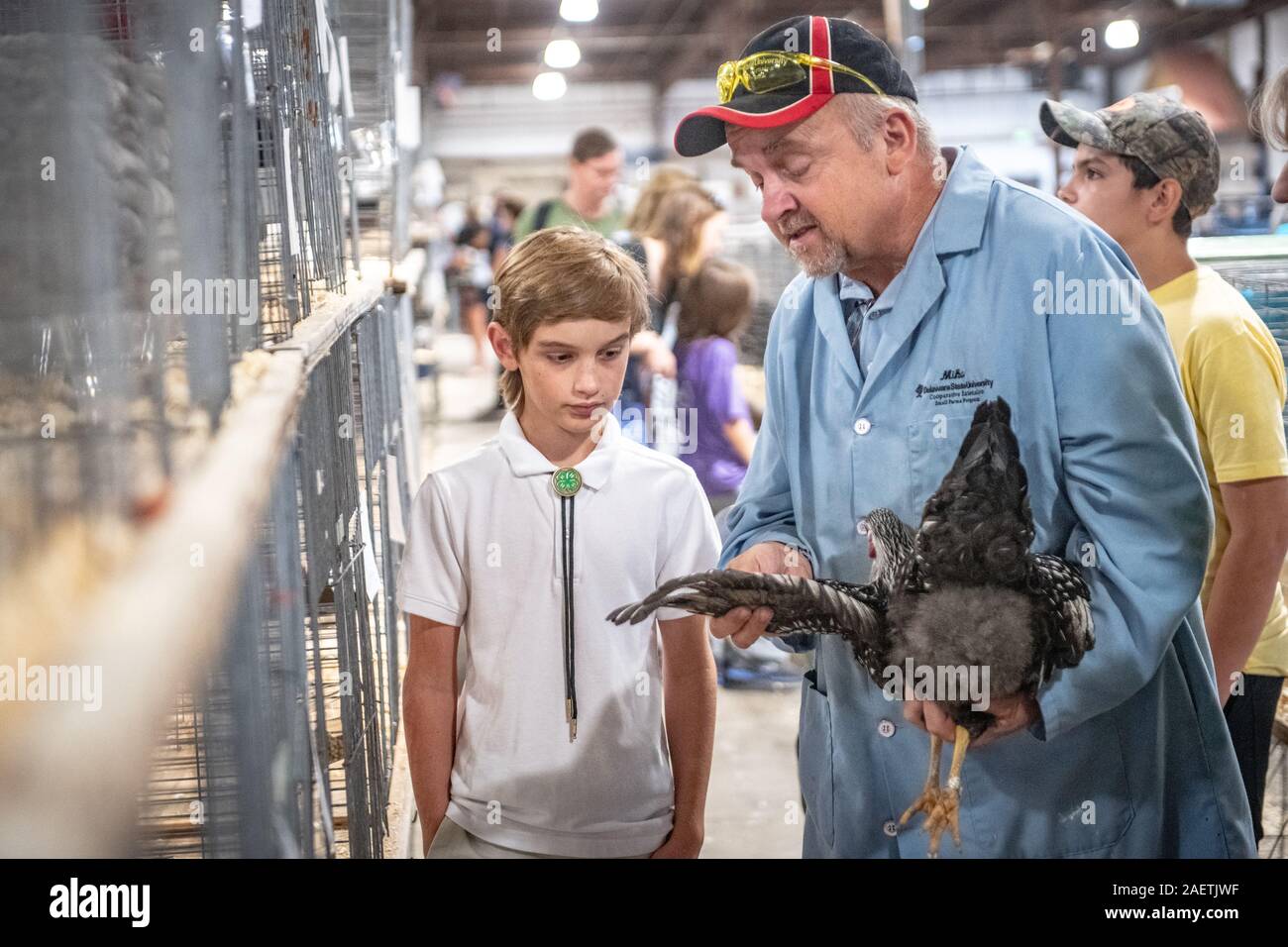 Inspecting a healthy chicken at the state fair, Maryland State Fair ...