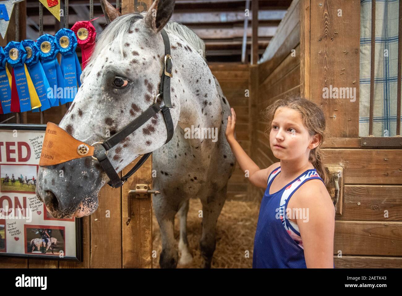 A horse and his owner spending time at the stables, Maryland State Fair ...