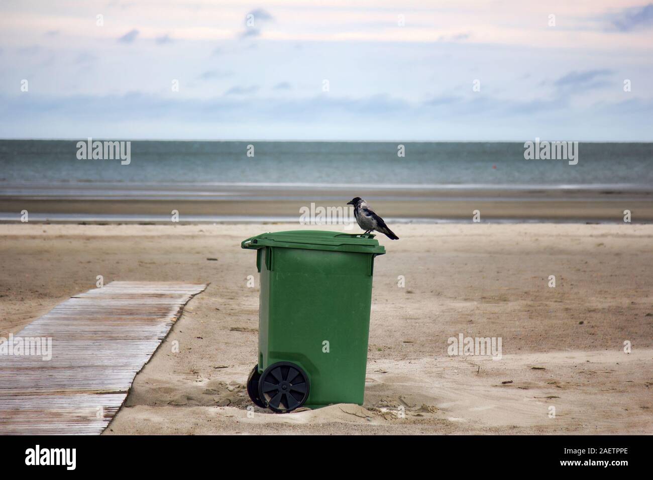 The seaside is equipped with a wooden walkway and a dumpster. Winter ...
