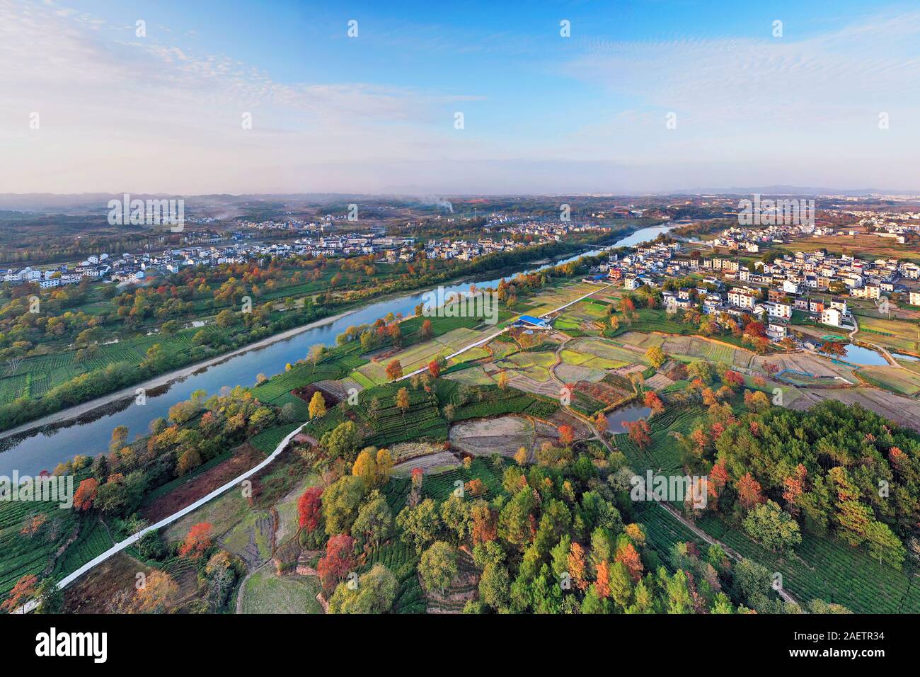 An aerial view of country houses at sunset scattering among trees and ...