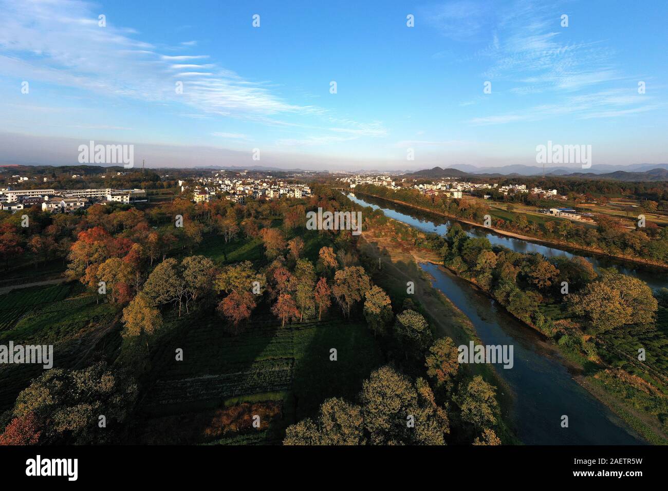 An aerial view of country houses at sunset scattering among trees and ...