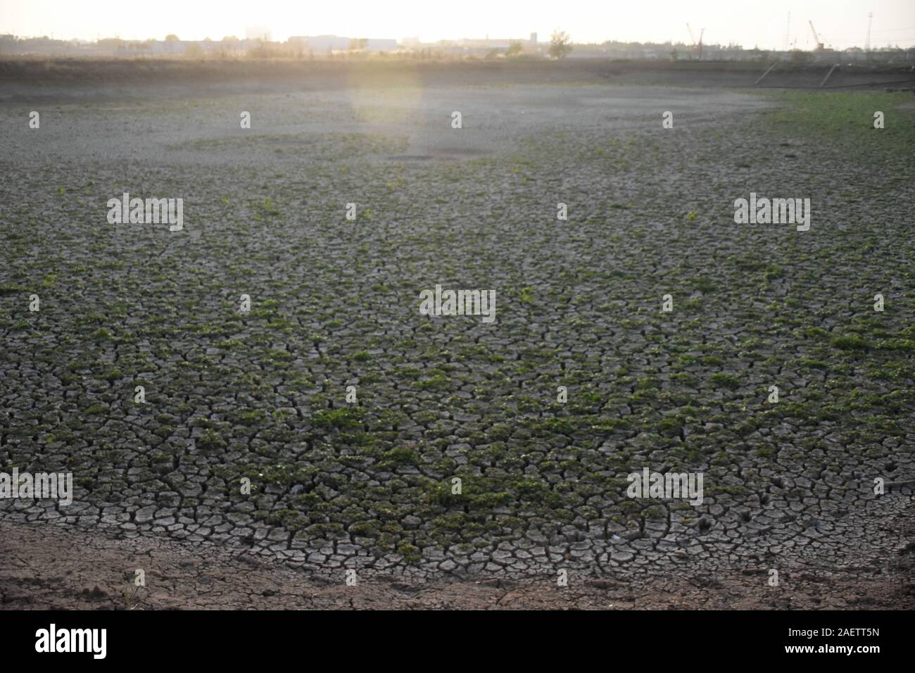 Dried up due hi-res stock photography and images - Alamy