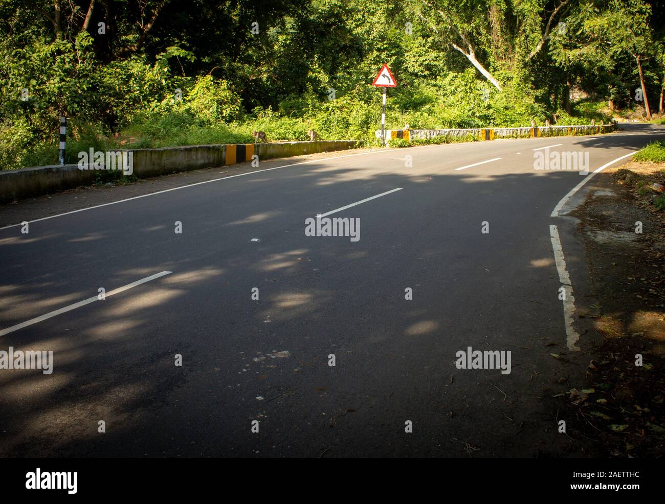 View of curvy Ghat road along the mountain range of Eastern Ghats ...