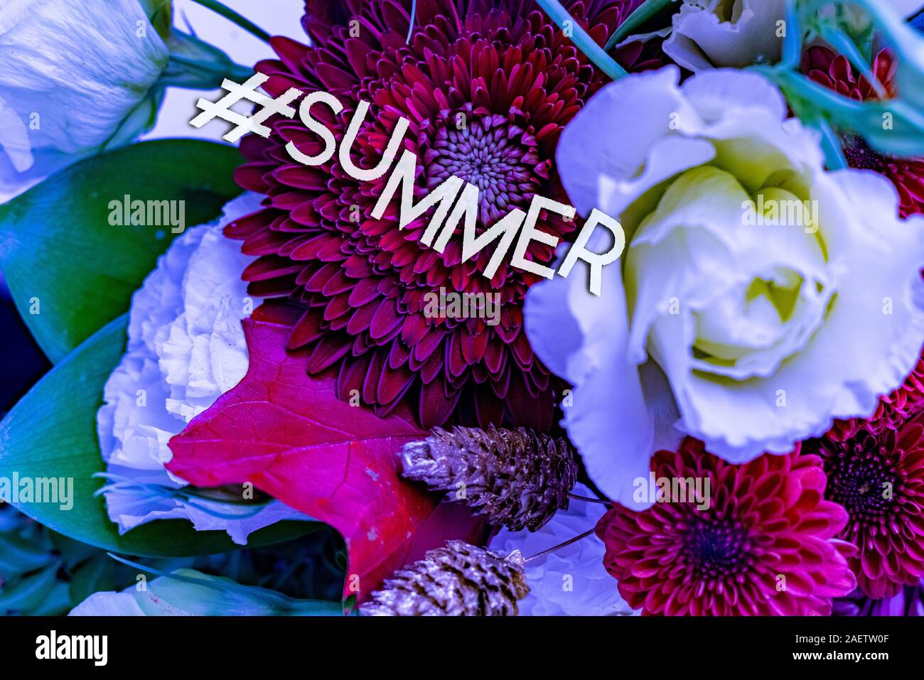 hashtag summer word text on a colorful flower buds background, holidays ...