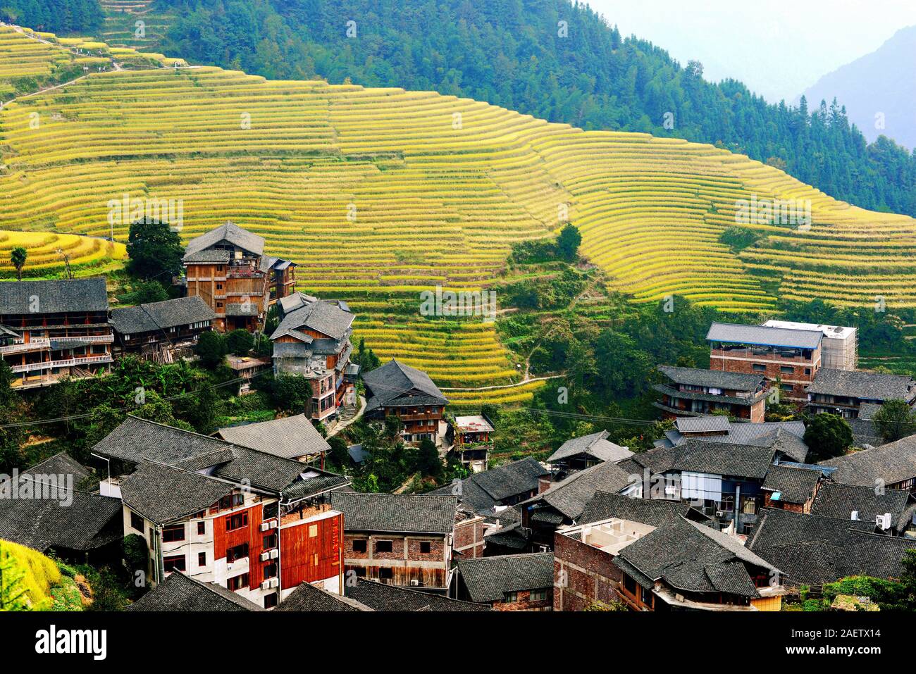 An aerial view of Longsheng Rice Terraces, also known as Longji Rice ...