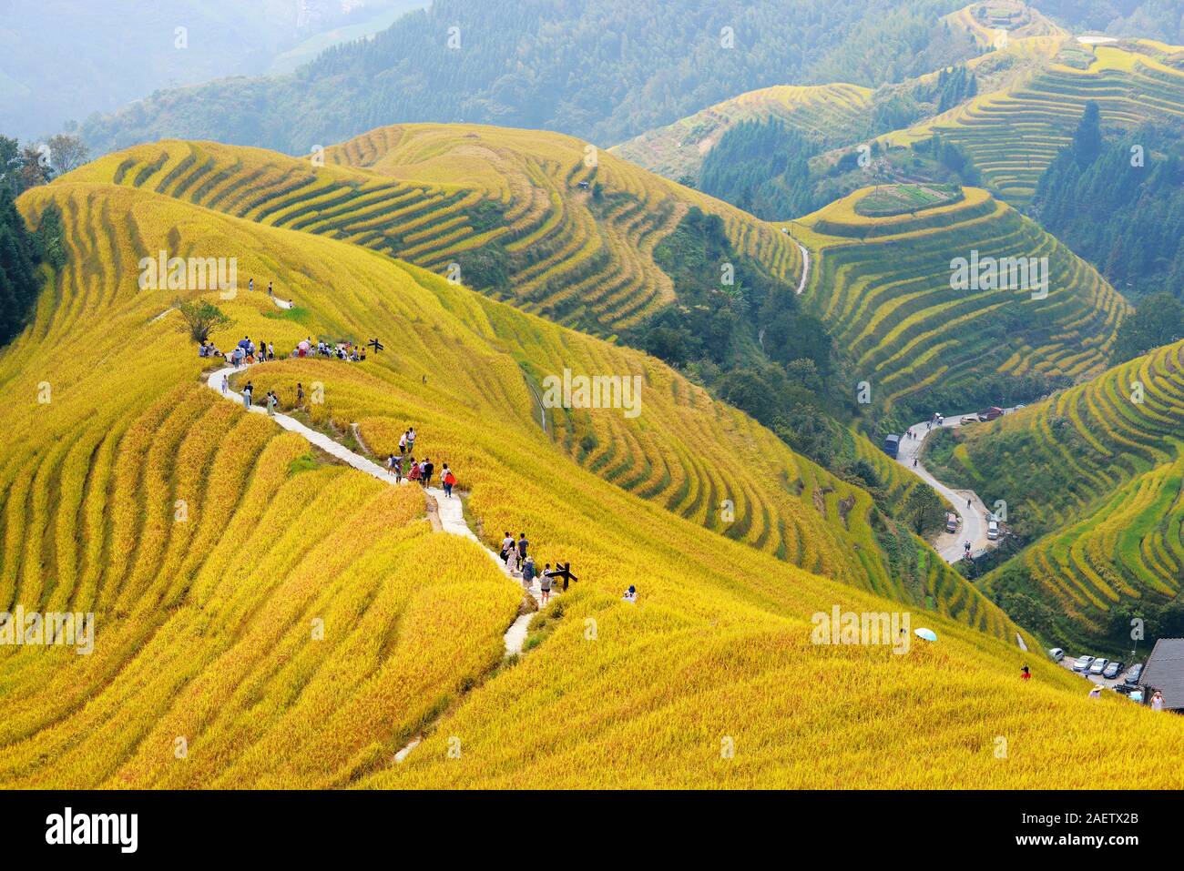 An aerial view of Longsheng Rice Terraces, also known as Longji Rice ...