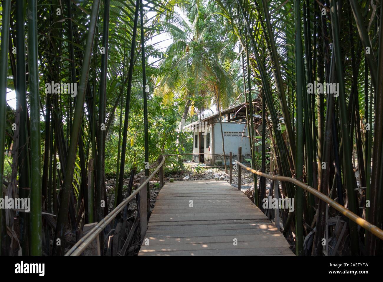 A small building at the end of a path through a bamboo forest in ...