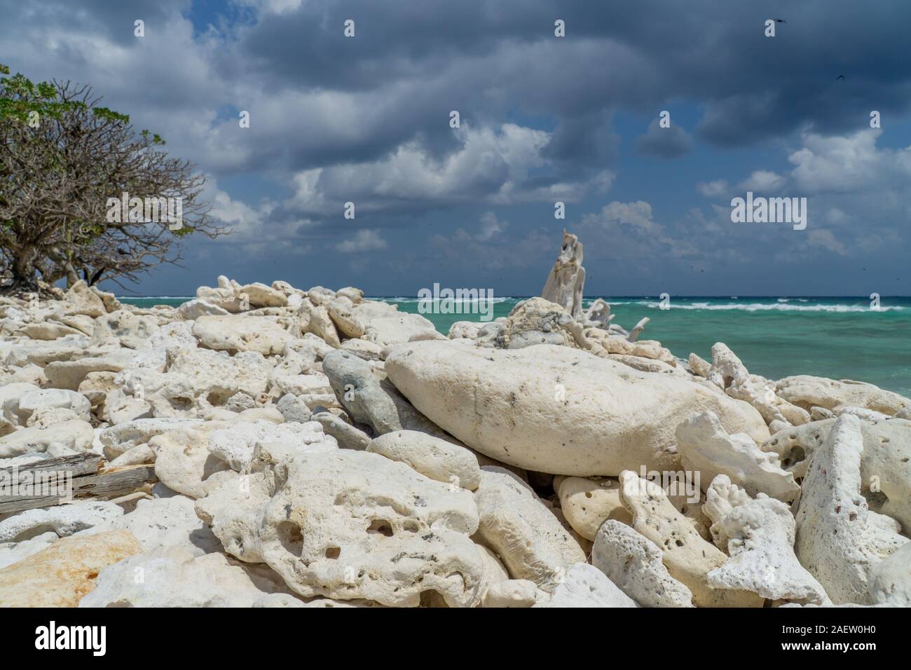 Lady Elliot Island shoreline Great Barrier Reef, Australia Stock Photo ...