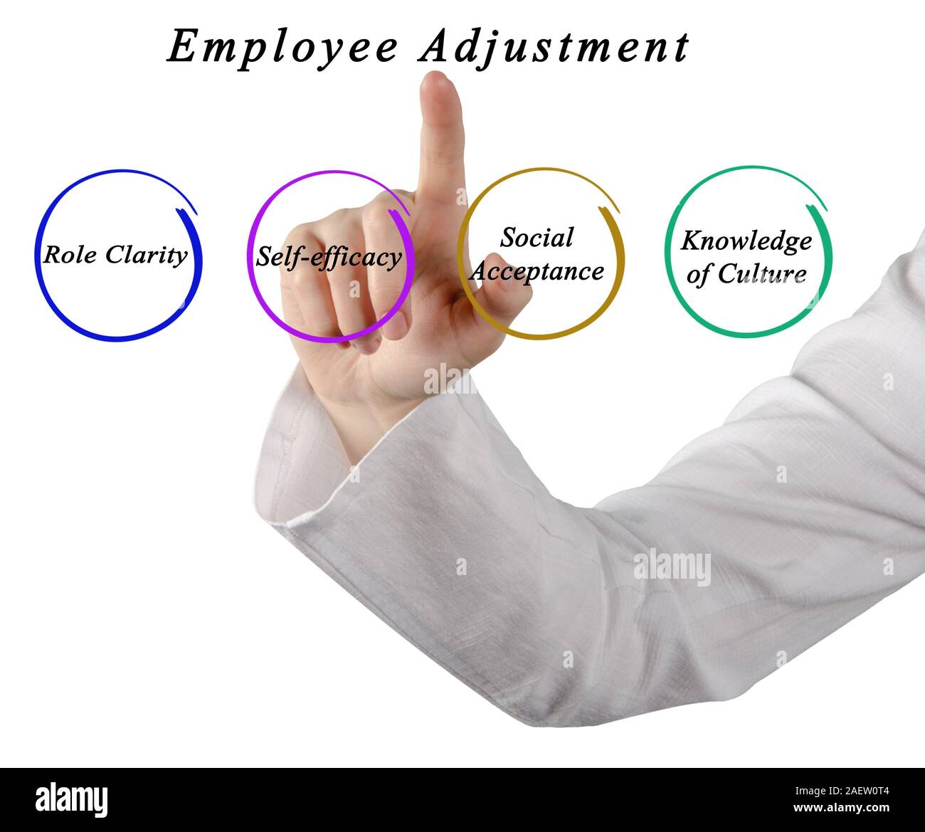 Diagram of Employee Adjustment Stock Photo - Alamy