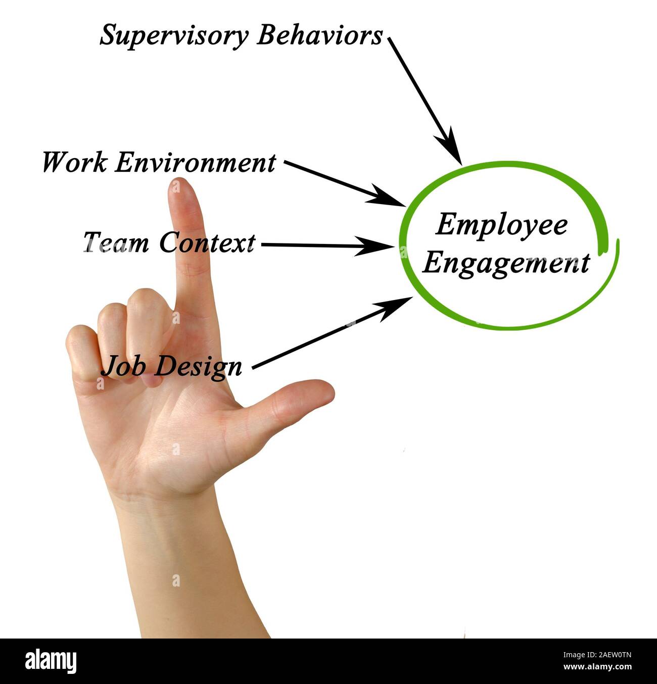 Female engagement team Cut Out Stock Images & Pictures - Alamy