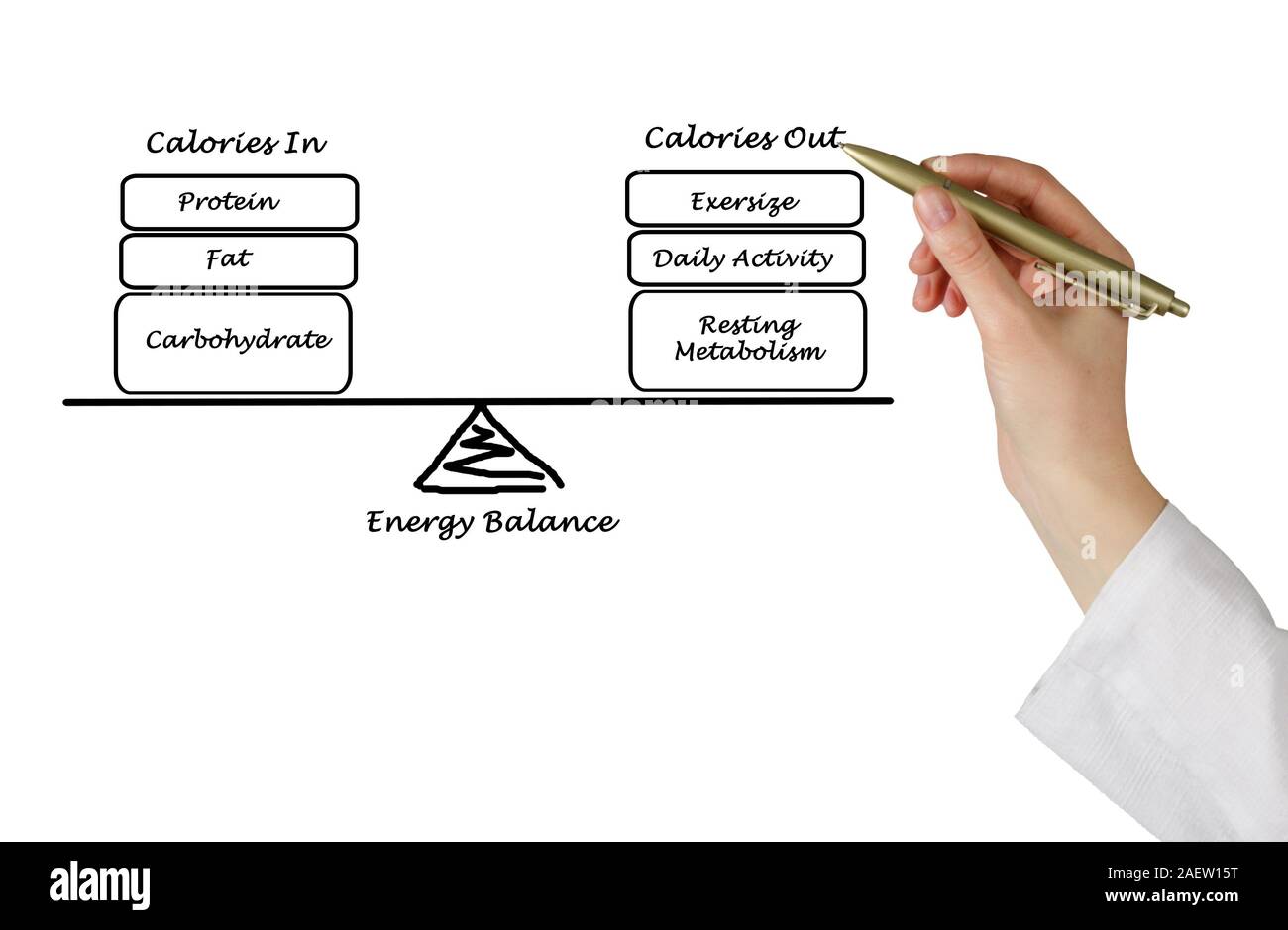 Balance between Energy intake and Energy expenditure Stock Photo - Alamy