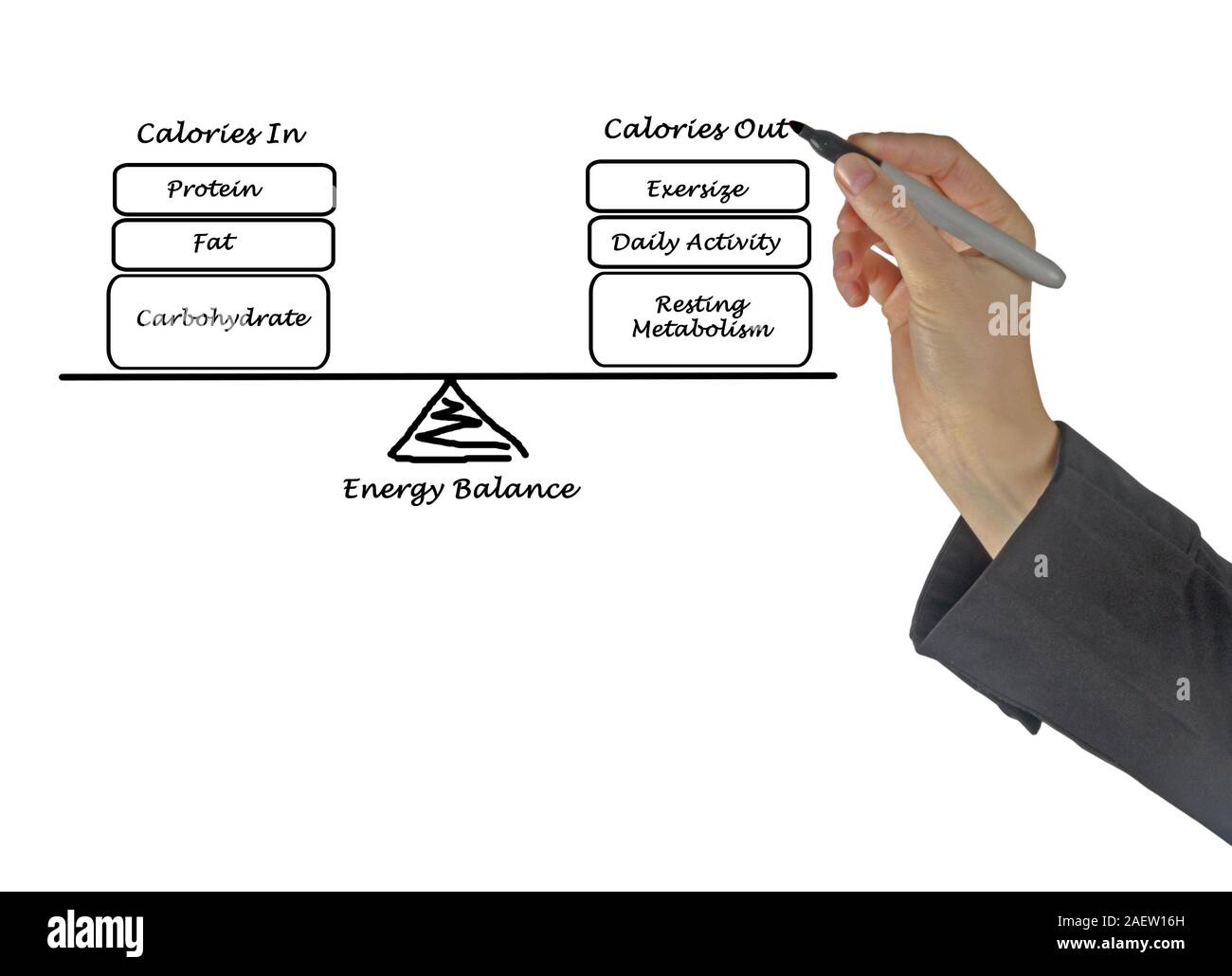 Balance between Energy intake and Energy expenditure Stock Photo - Alamy
