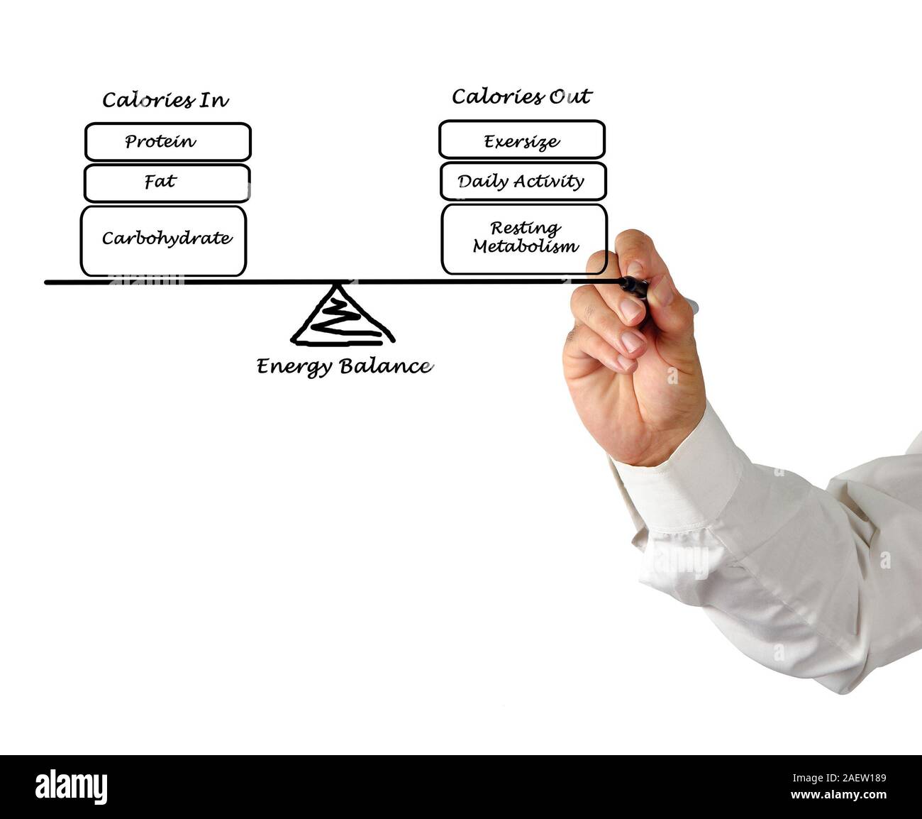 Balance between Energy intake and Energy expenditure Stock Photo - Alamy