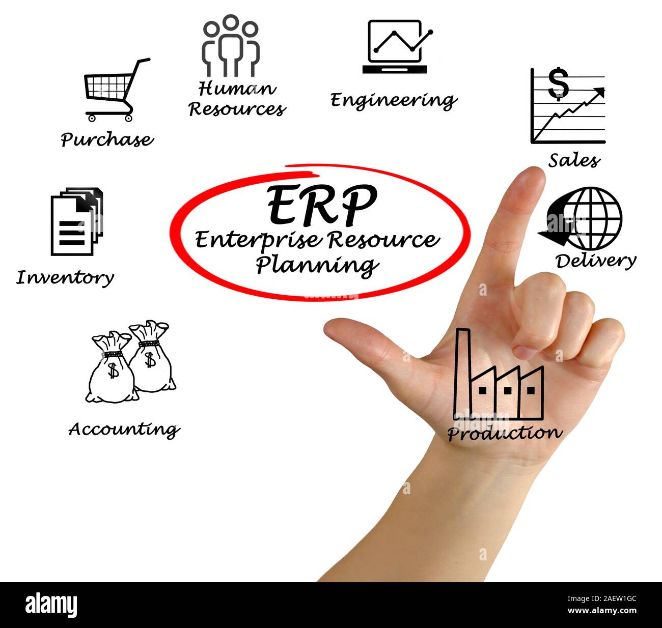 diagram of Enterprise Resource Planning Stock Photo - Alamy